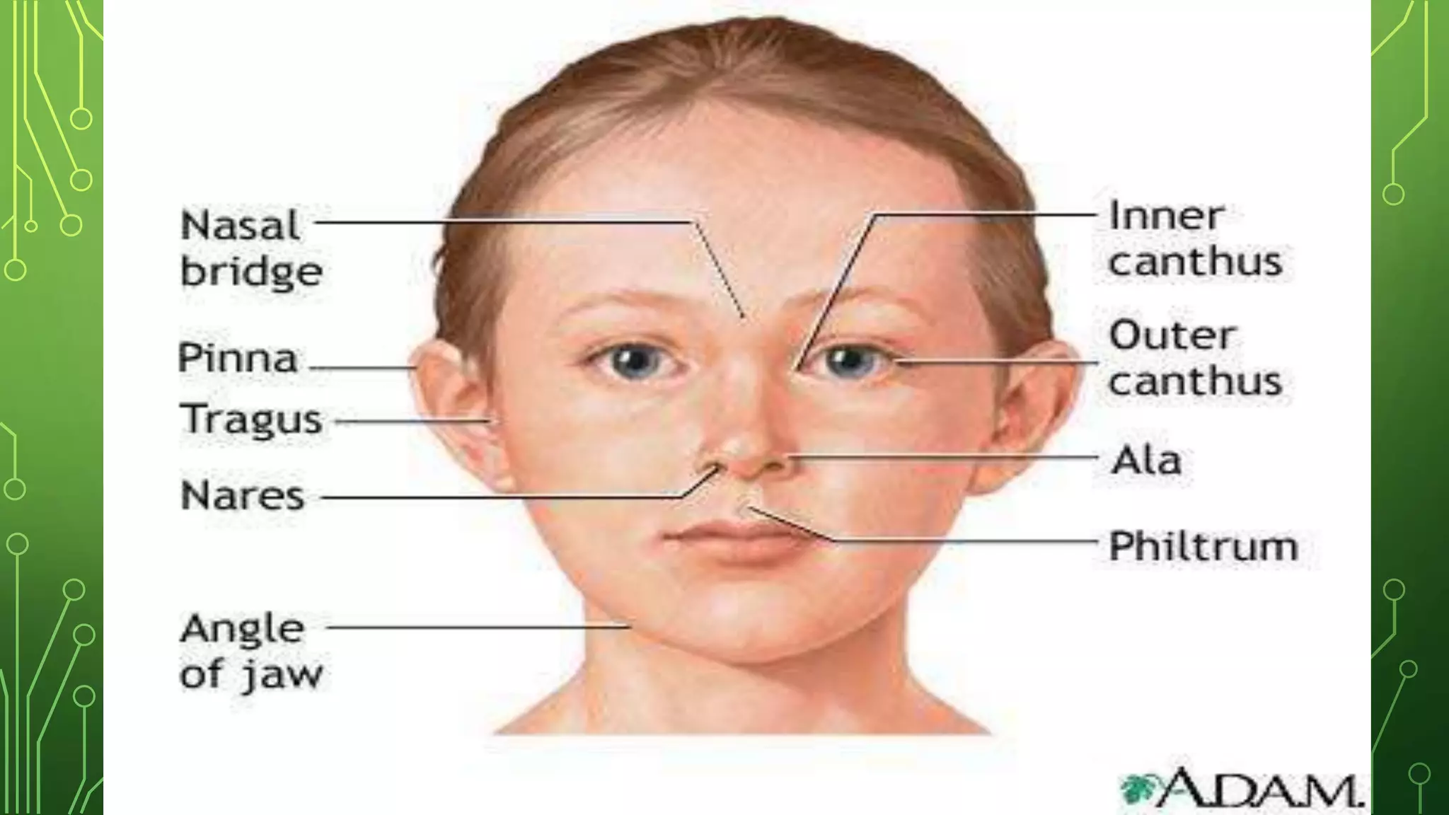 Genetic pattern of common pediatric disorder | PPTX