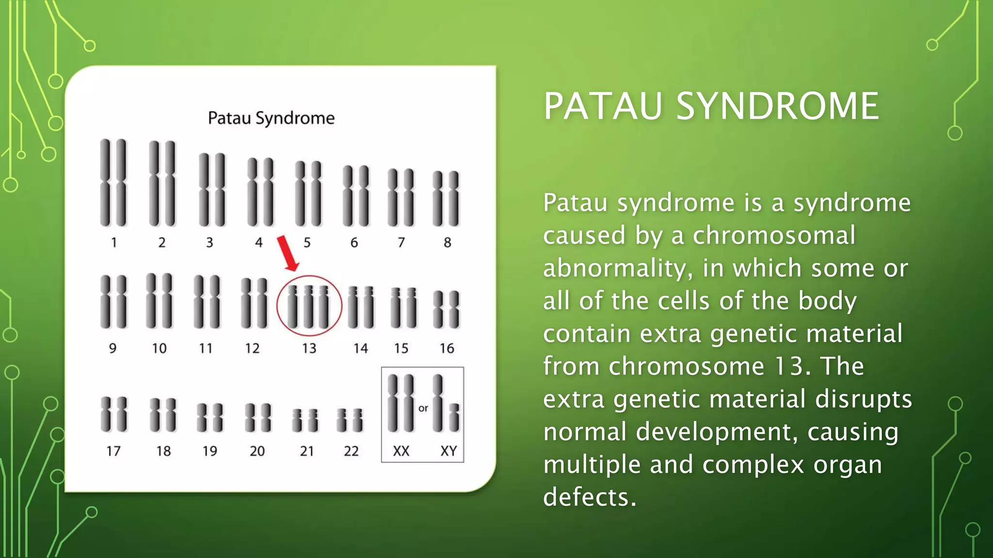 Genetic pattern of common pediatric disorder | PPTX