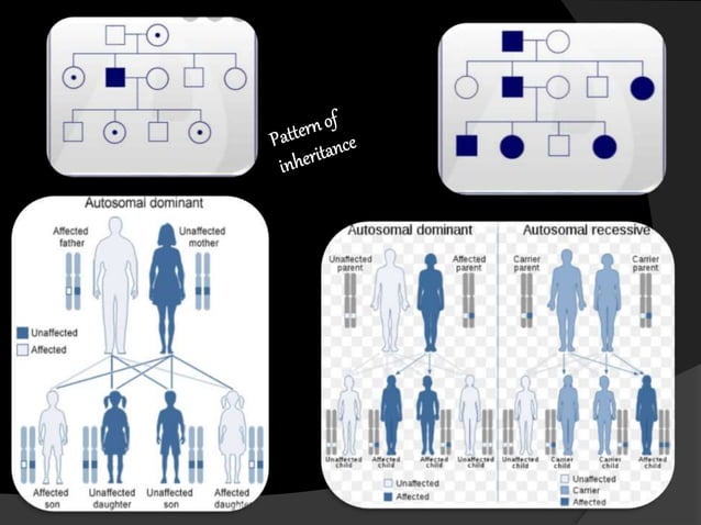 Genetic pattern of inheritance | PPTX