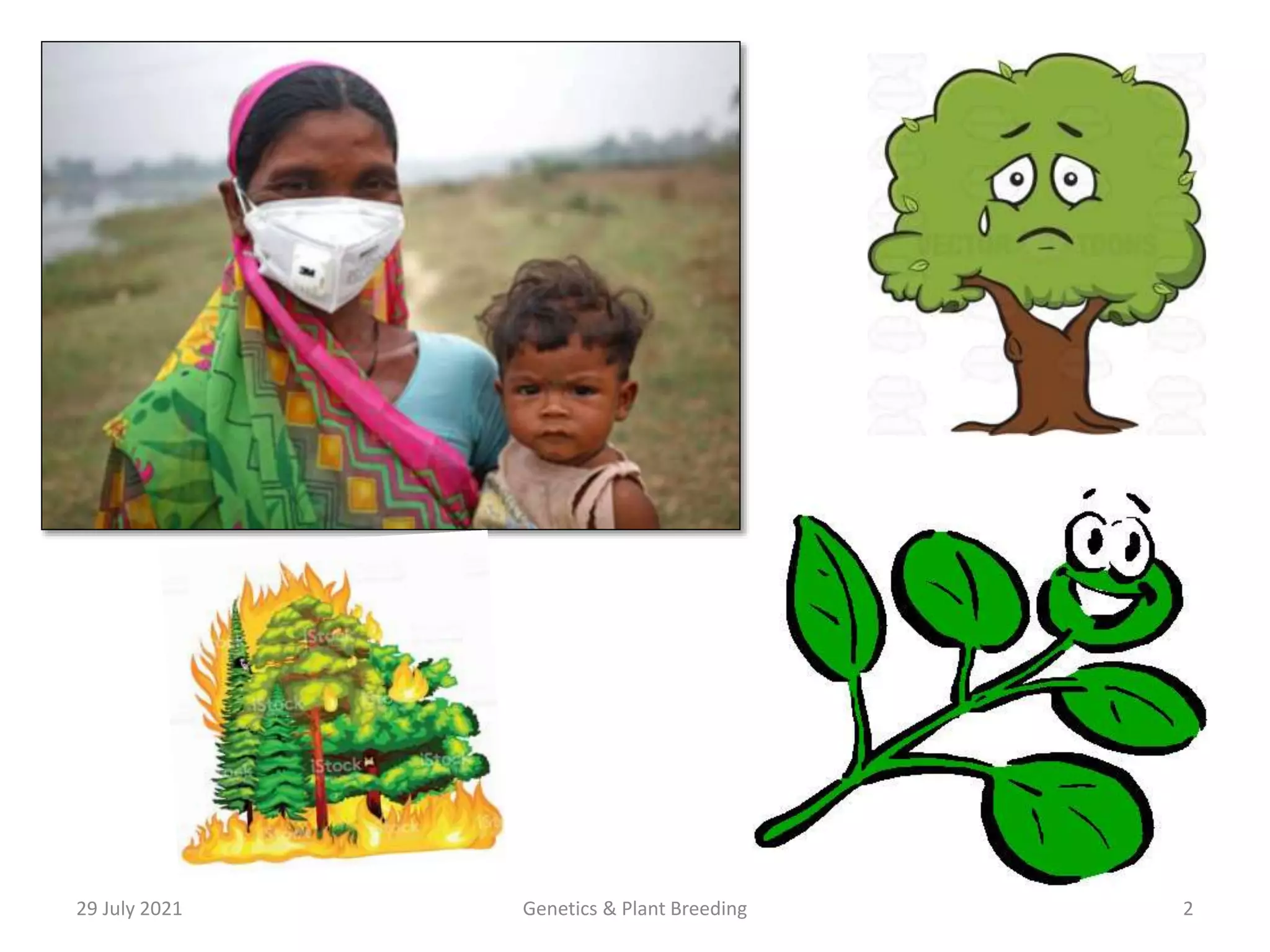 Genetic pollution | PPTX