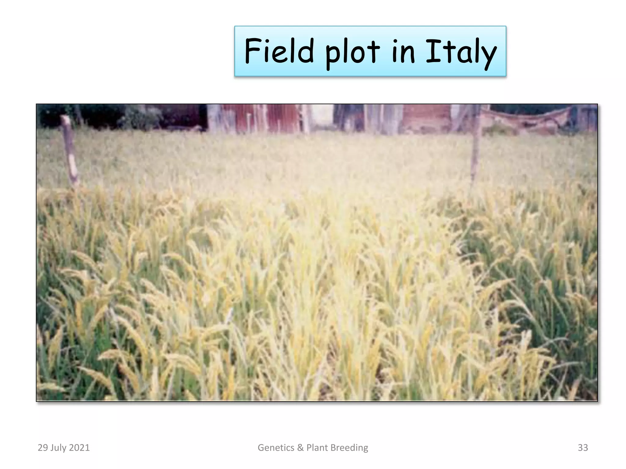 Genetic pollution | PPTX