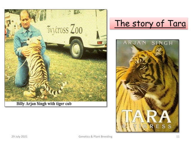 Genetic pollution | PPTX