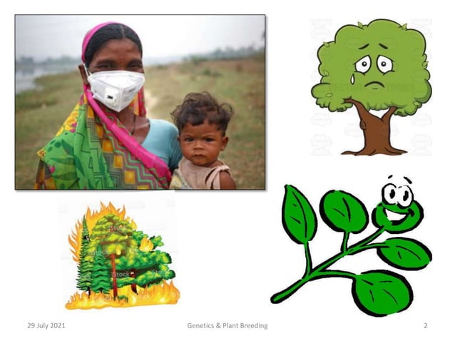 Genetic pollution | PPTX