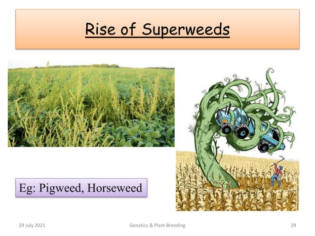 Genetic pollution | PPTX