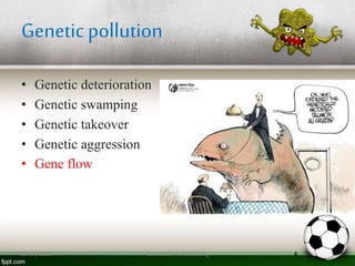 Genetic pollution | PPTX