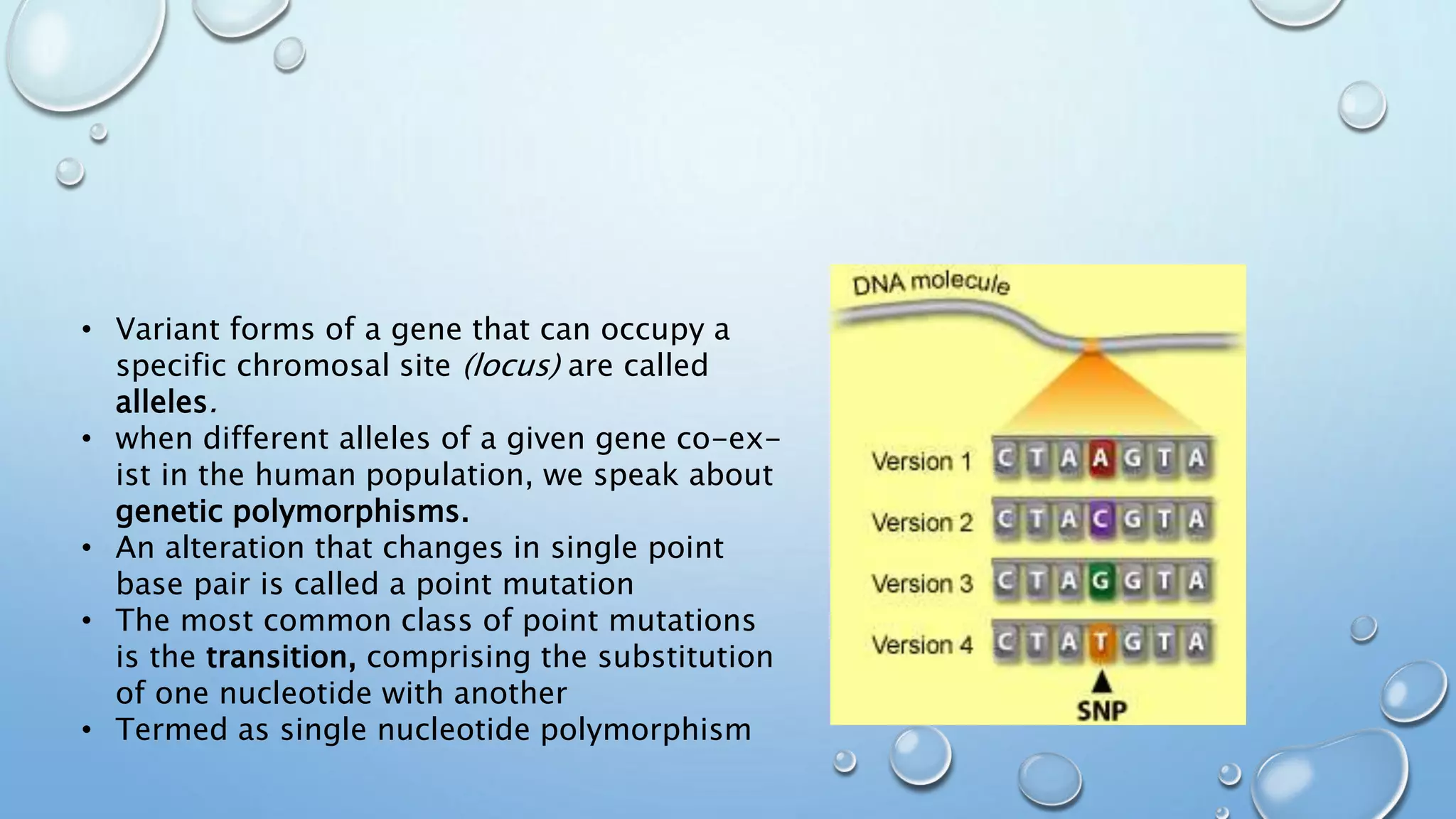Genetic polymorphism | PPTX
