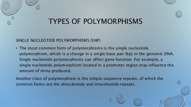 Genetic Polymorphism