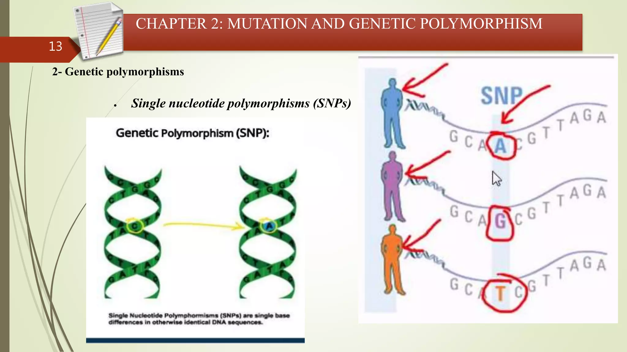 Genetic polymorphism | PPTX