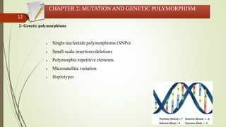 Genetic polymorphism | PPTX