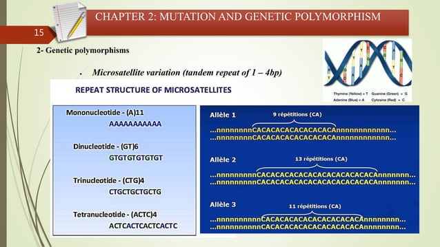Genetic polymorphism | PPTX