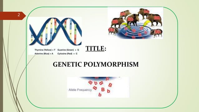 Genetic polymorphism | PPTX