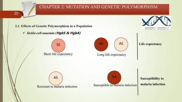 Genetic polymorphism | PPTX