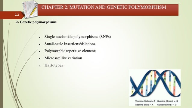 Genetic polymorphism