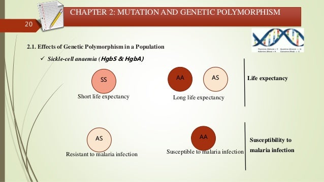 Genetic polymorphism