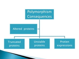 Genetic polymorphism | PPTX
