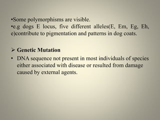 Genetic polymorphism and It's Applications | PDF