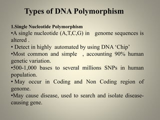 Genetic polymorphism and It's Applications | PDF