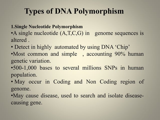 Genetic polymorphism and It's Applications | PDF