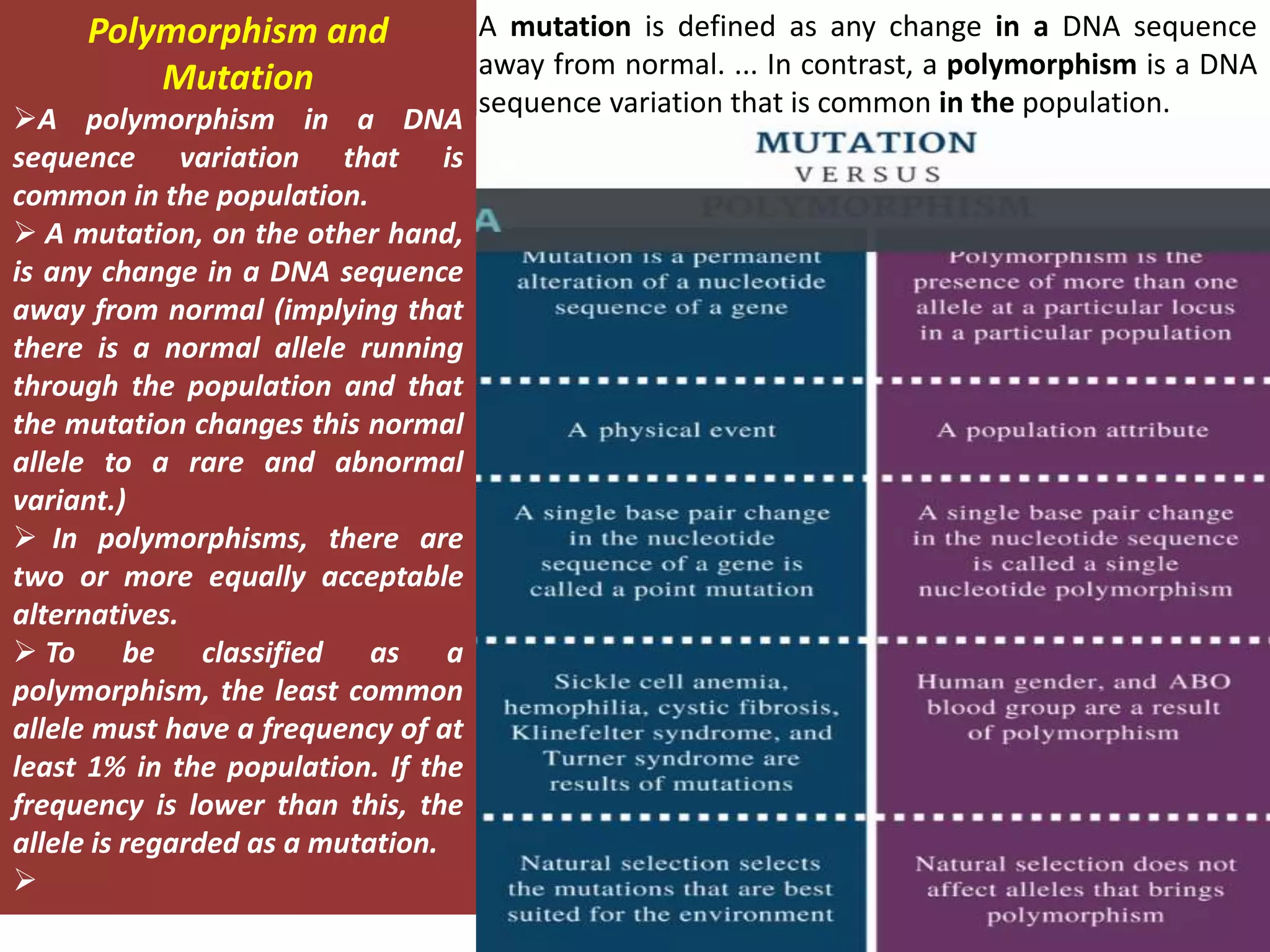 Genetic polymorphism | PPTX