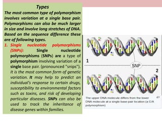 Genetic polymorphism | PPTX