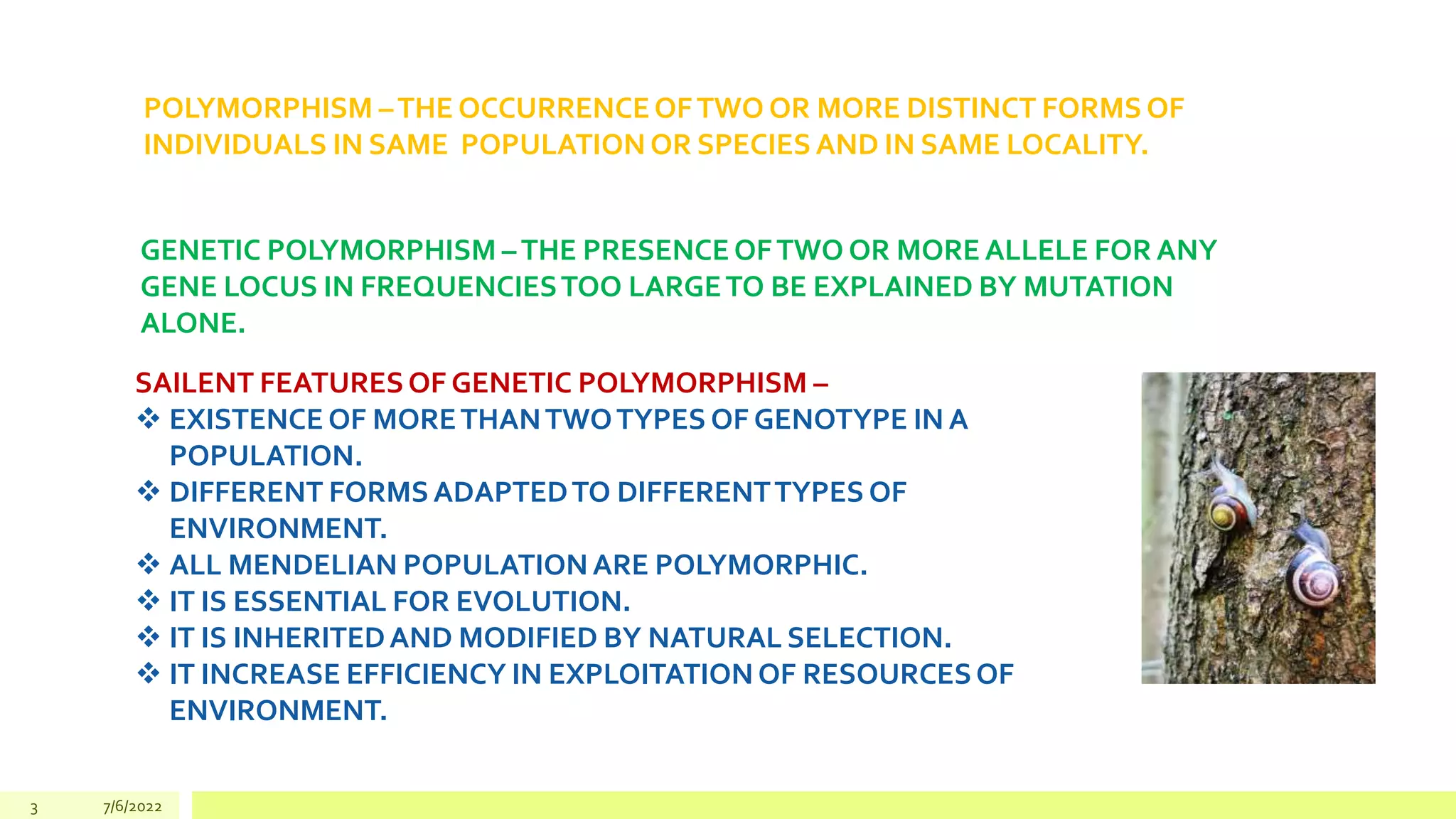 GENETIC POLYMORPHISM | PPTX