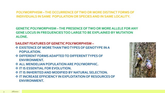 GENETIC POLYMORPHISM | PPTX | Genetics | Science