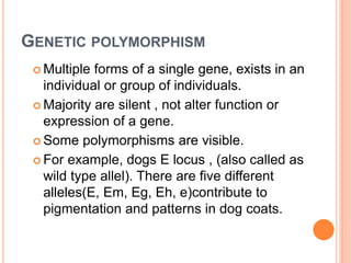 clinical implications -C.pptxfhfhfdjhfdgjf | PPT