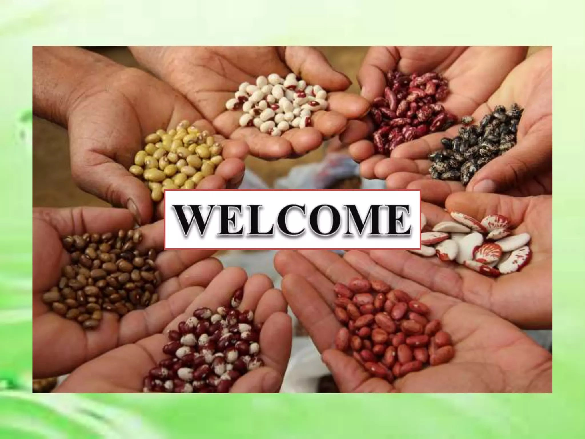 Genetic principles of seed production | PPTX