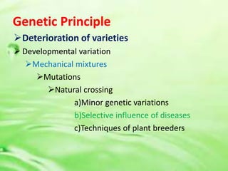 Genetic principles of seed production | PPTX