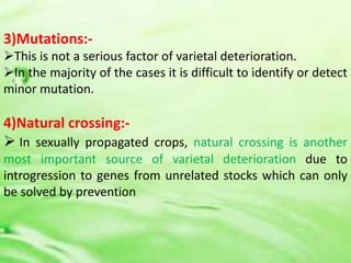 Genetic principles of seed production | PPTX