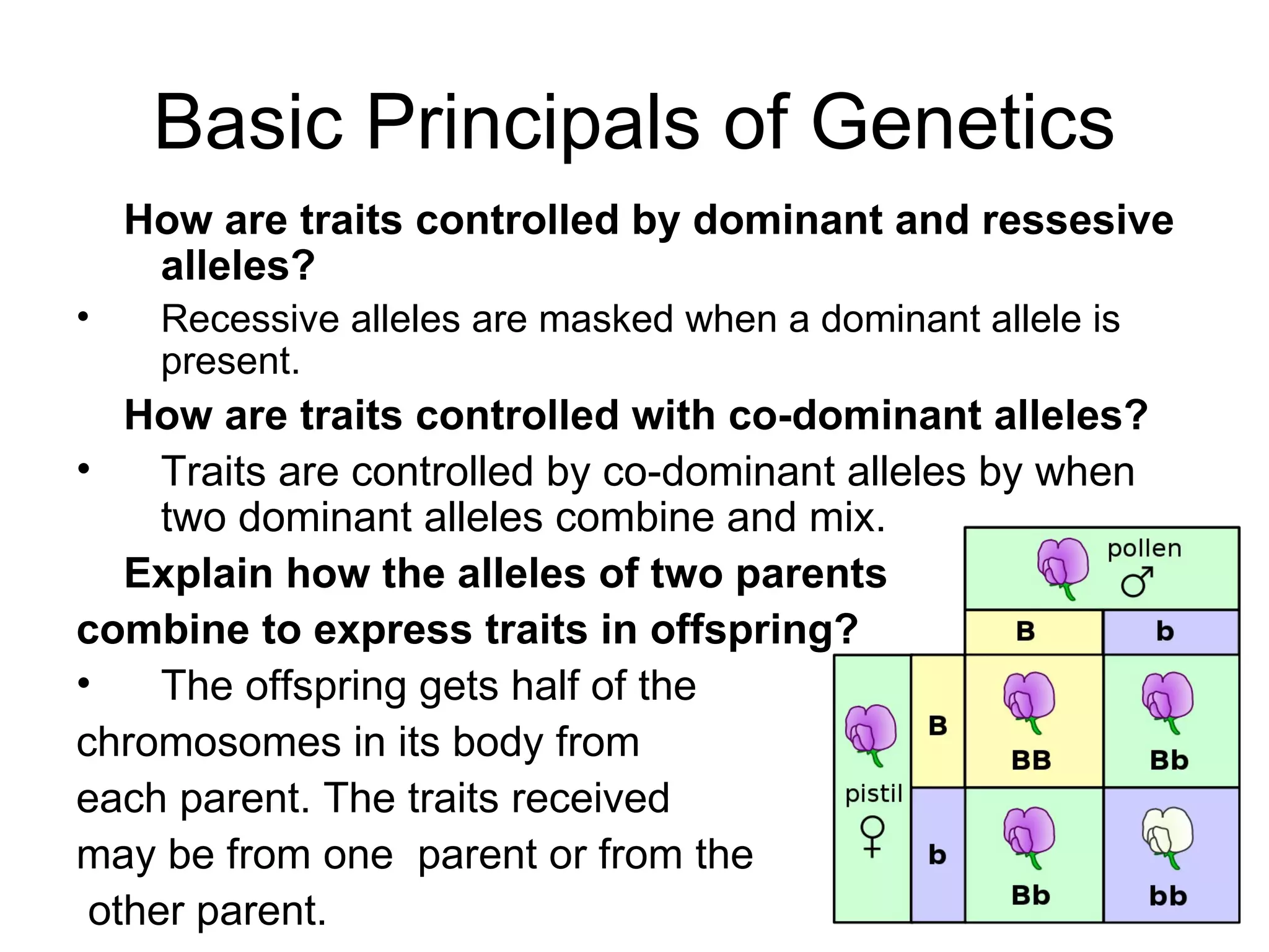 Genetic privacy | PPT