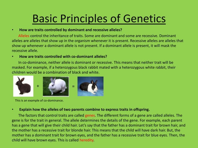 Genetic Privacy Part 1 | PPTX