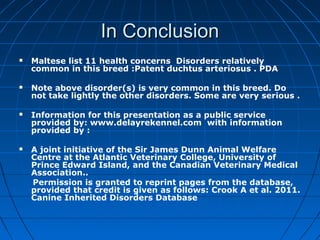Genetic Disorders Maltese | PPT | Eye and Vision Conditions | Diseases ...