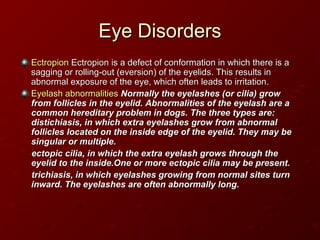 Genetic Disorders Shih Tzu | PPT | Eye and Vision Conditions | Diseases ...