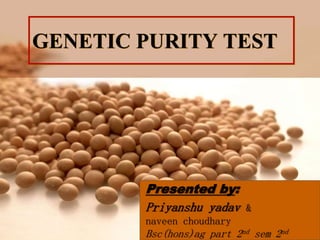 GENETIC PURITY TEST through morphological and biochemical tests.pptx