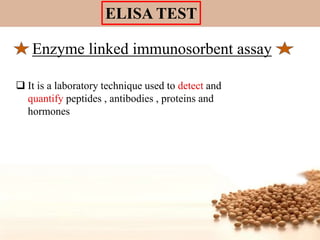 GENETIC PURITY TEST through morphological and biochemical tests.pptx
