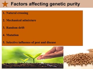 GENETIC PURITY TEST through morphological and biochemical tests.pptx