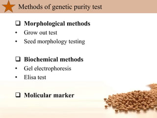 GENETIC PURITY TEST through morphological and biochemical tests.pptx