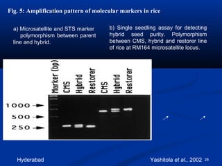 Genetic purity testing | PPT