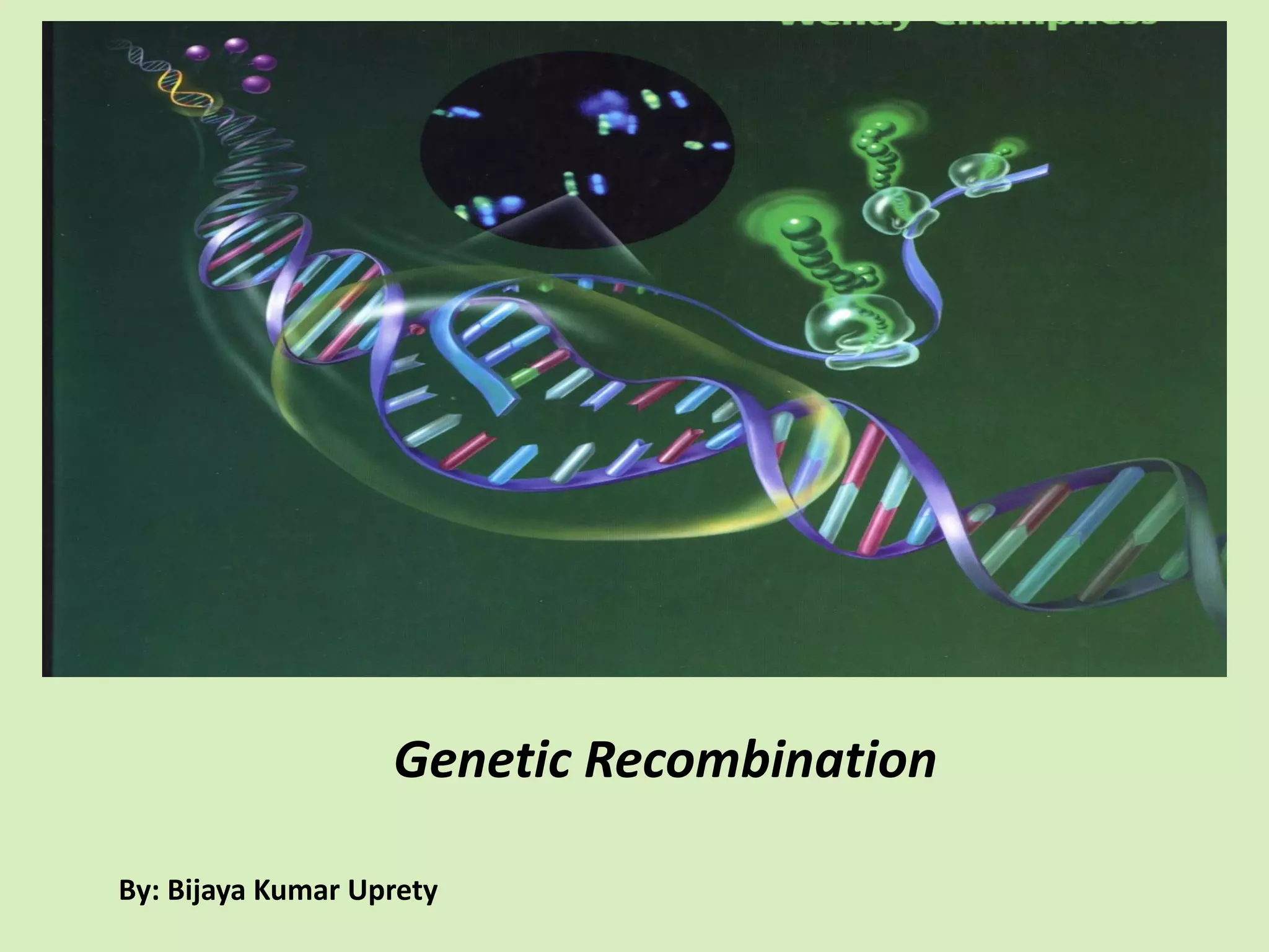 Genetic recombination | PDF