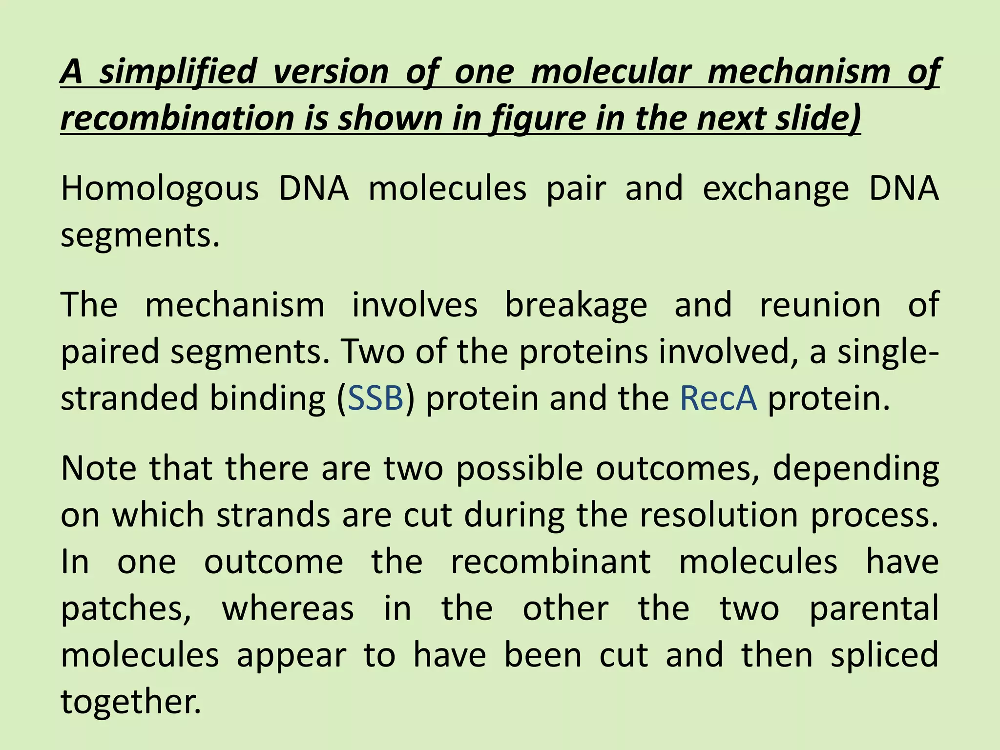 Genetic recombination | PDF