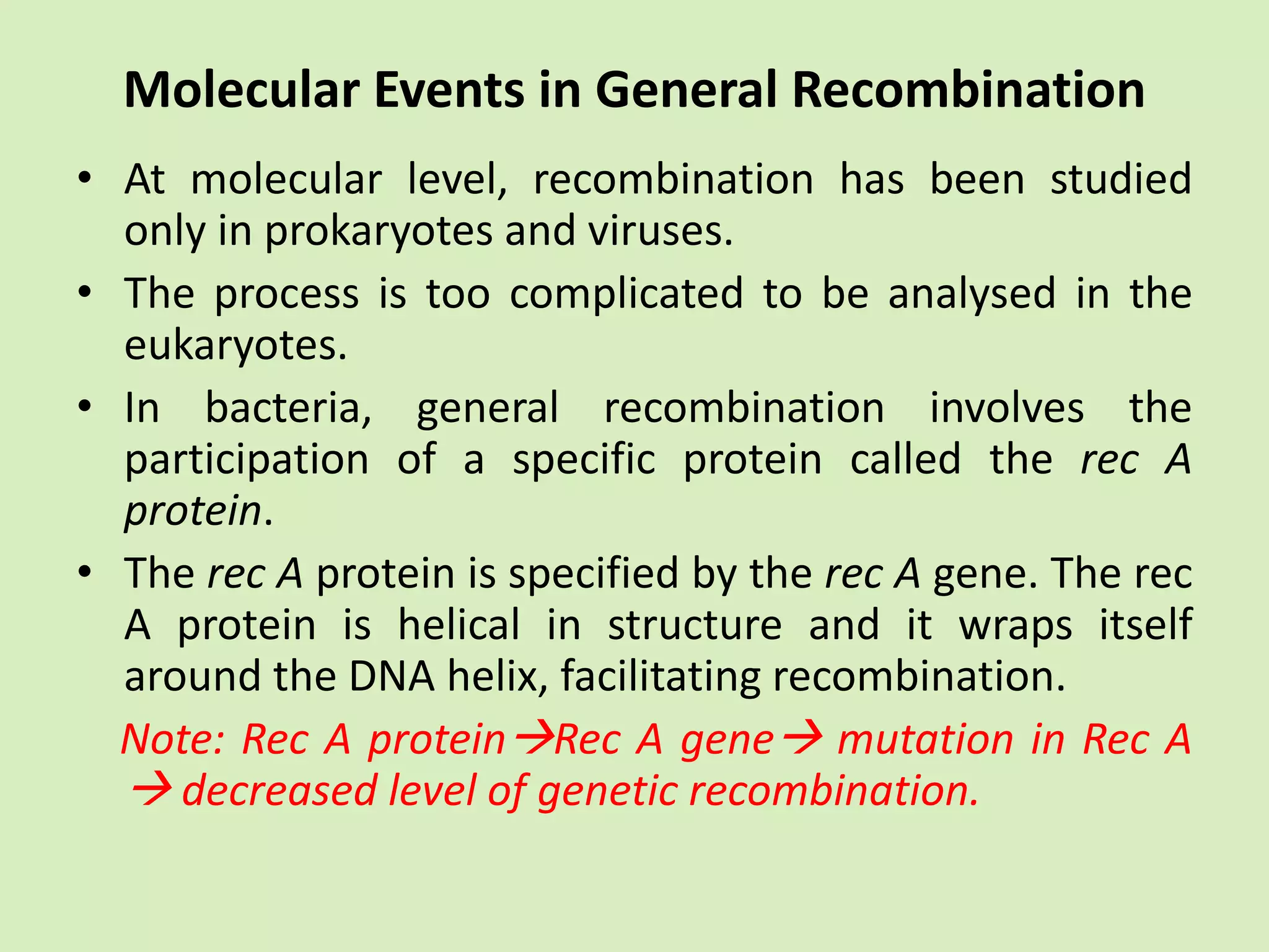 Genetic recombination | PDF