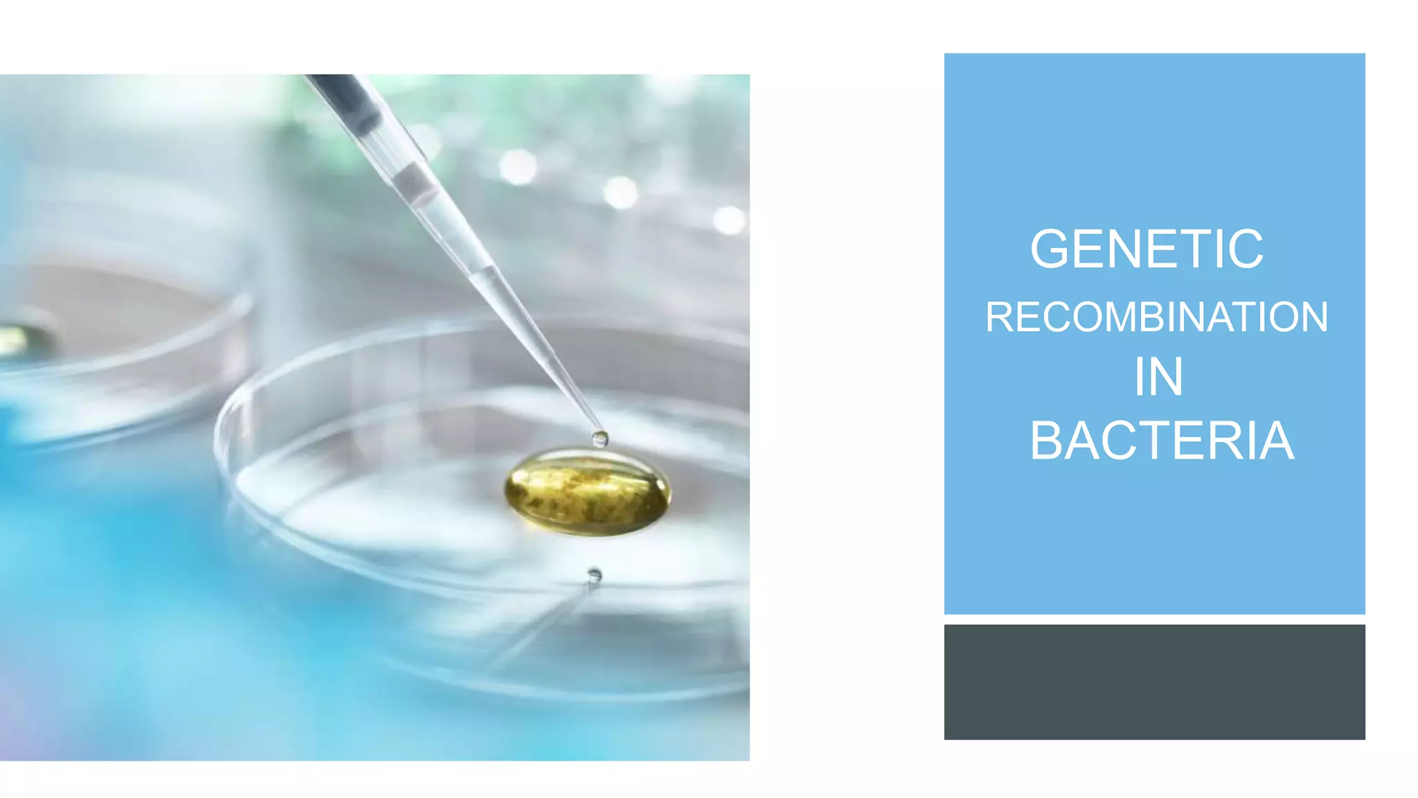 Genetic recombination | PPTX