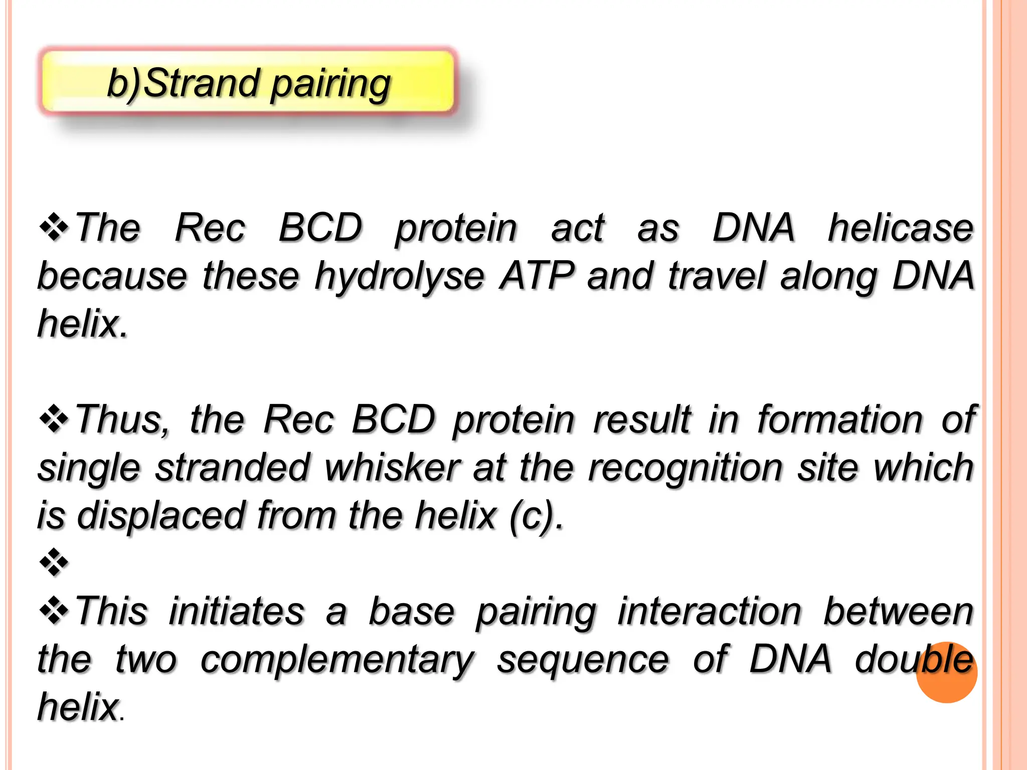 GENETIC RECOMBINATION.pptx