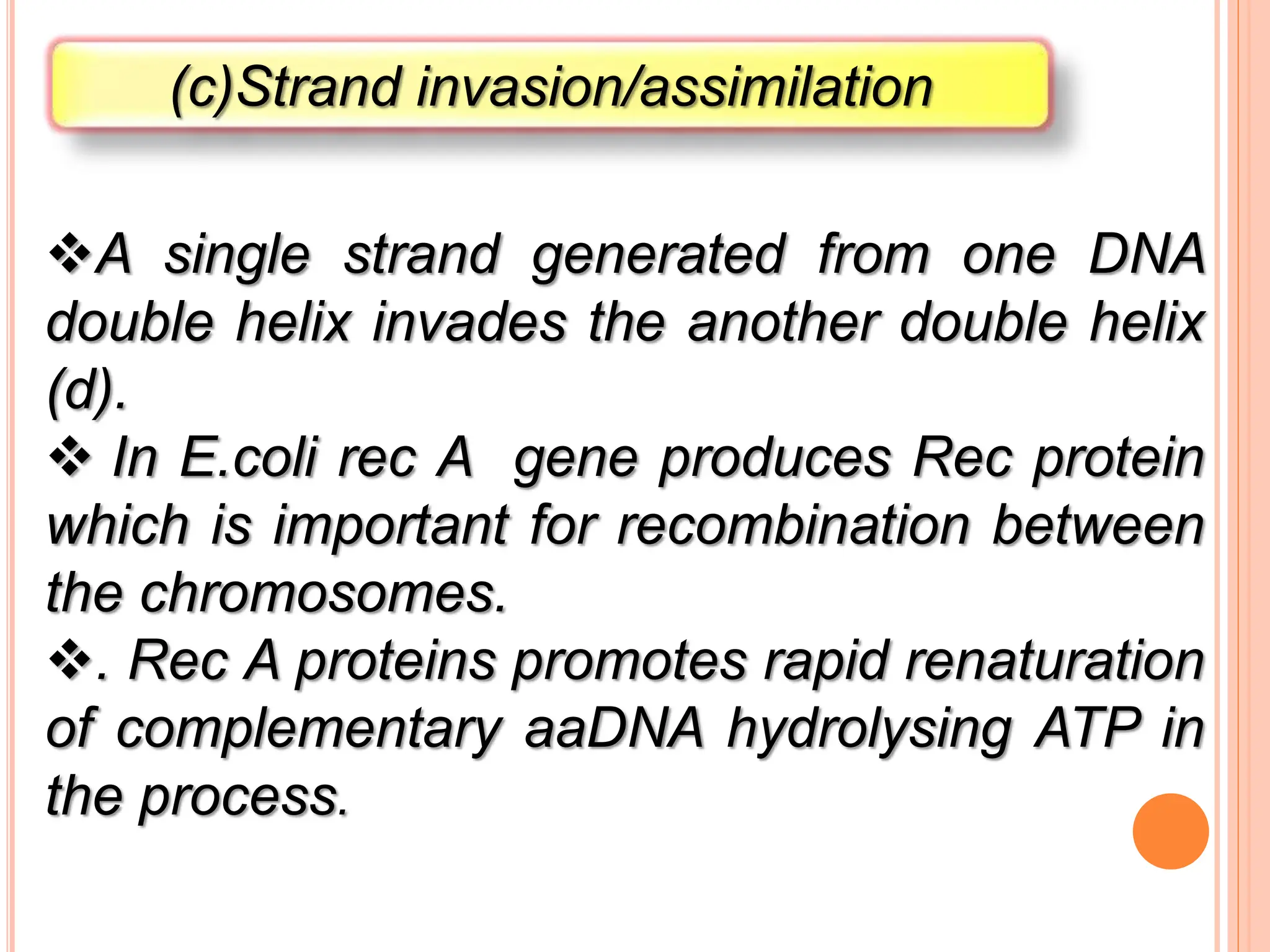 GENETIC RECOMBINATION.pptx