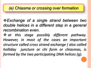 GENETIC RECOMBINATION.pptx