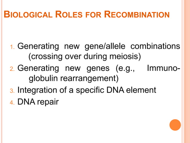 GENETIC RECOMBINATION.pptx | Genetics | Science
