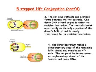 geneticccccccccccccccc recombination.ppt