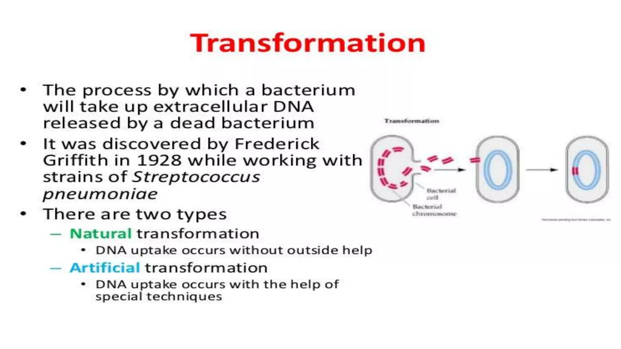 Genetic recombination in bacteria | PPTX