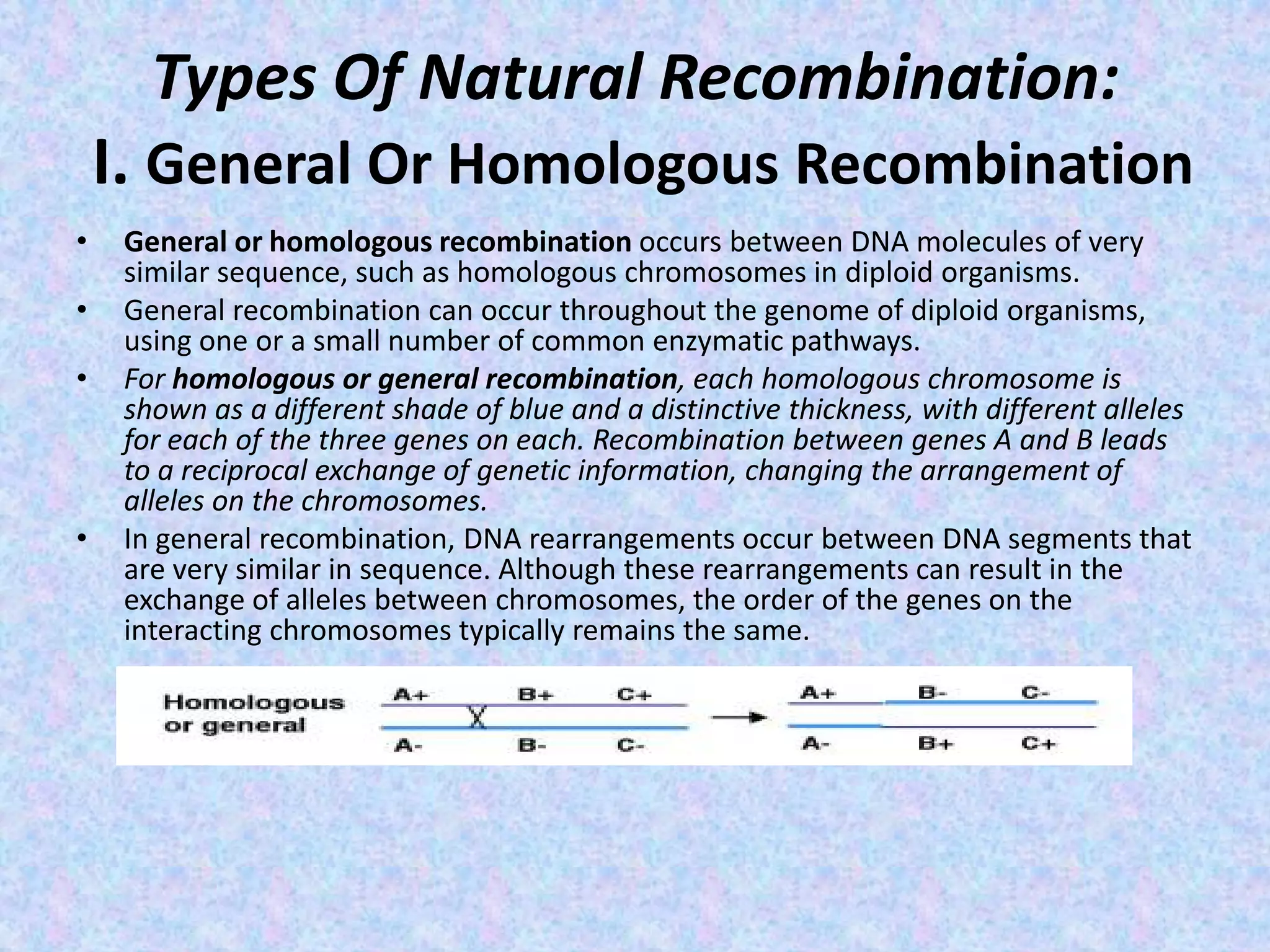 Genetic recombination in phages | PDF